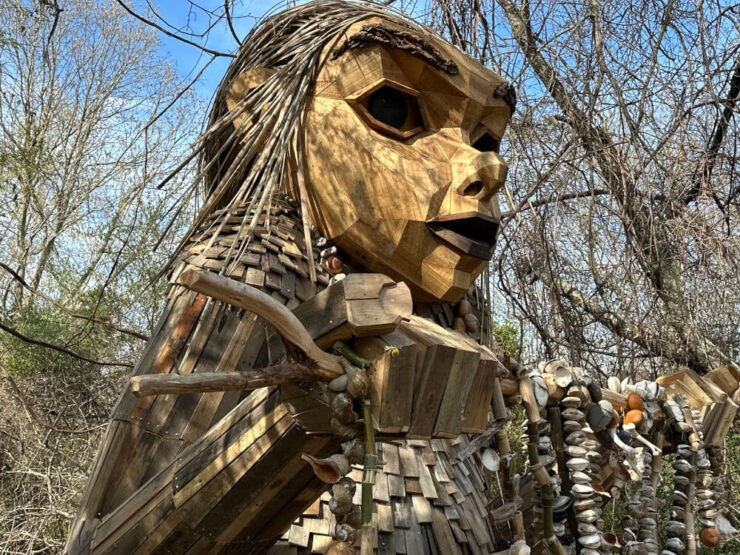 Dambo's Trolls Fight For Nature, But The Town Council Majority Doesn't ...