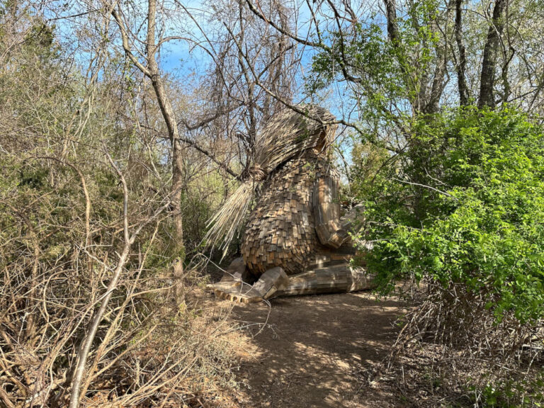 Dambo's Trolls Fight For Nature, But The Town Council Majority Doesn't ...