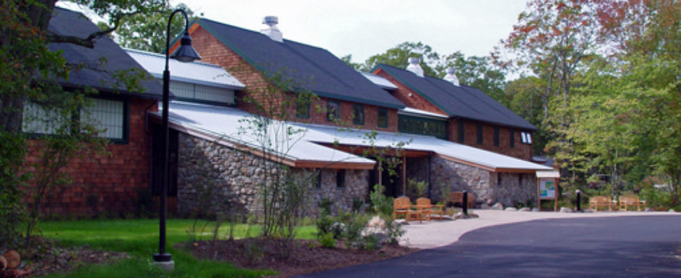 Wild About Reading About Nature! - Charlestown Citizens Alliance